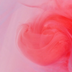 Period Pants & Knickers for All Flow Types | Bodyform™